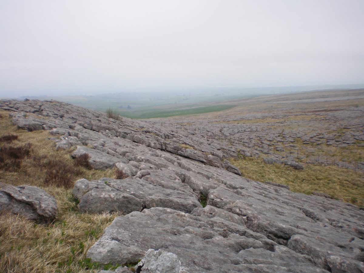 Geology: The limestone pavements of Great Asby Scar, Wednesday August ...