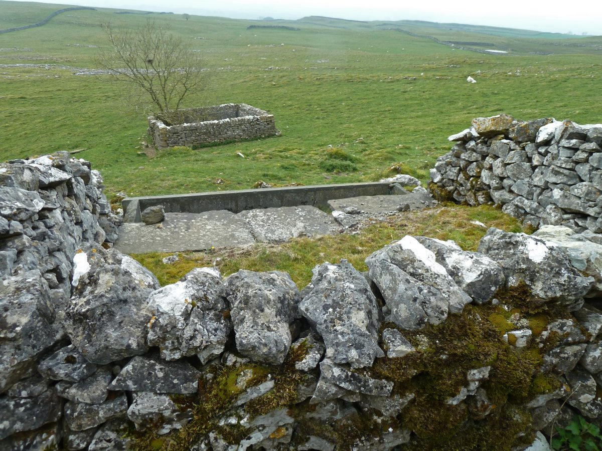 Giggleswick Scar, 24th April 2019 - Upper Wharfedale Field Society