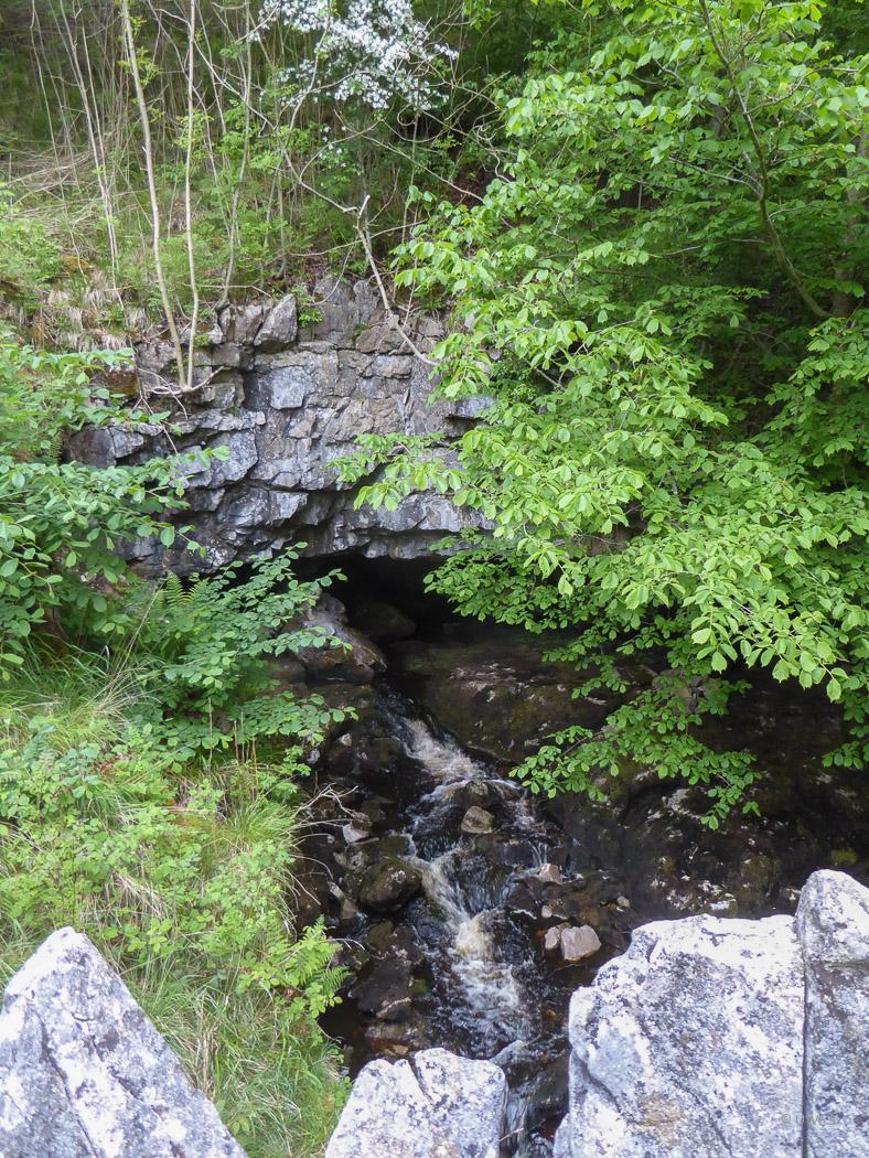 Clapham Woods and Gaping Gill, May 29th, 2019 - Upper Wharfedale Field ...