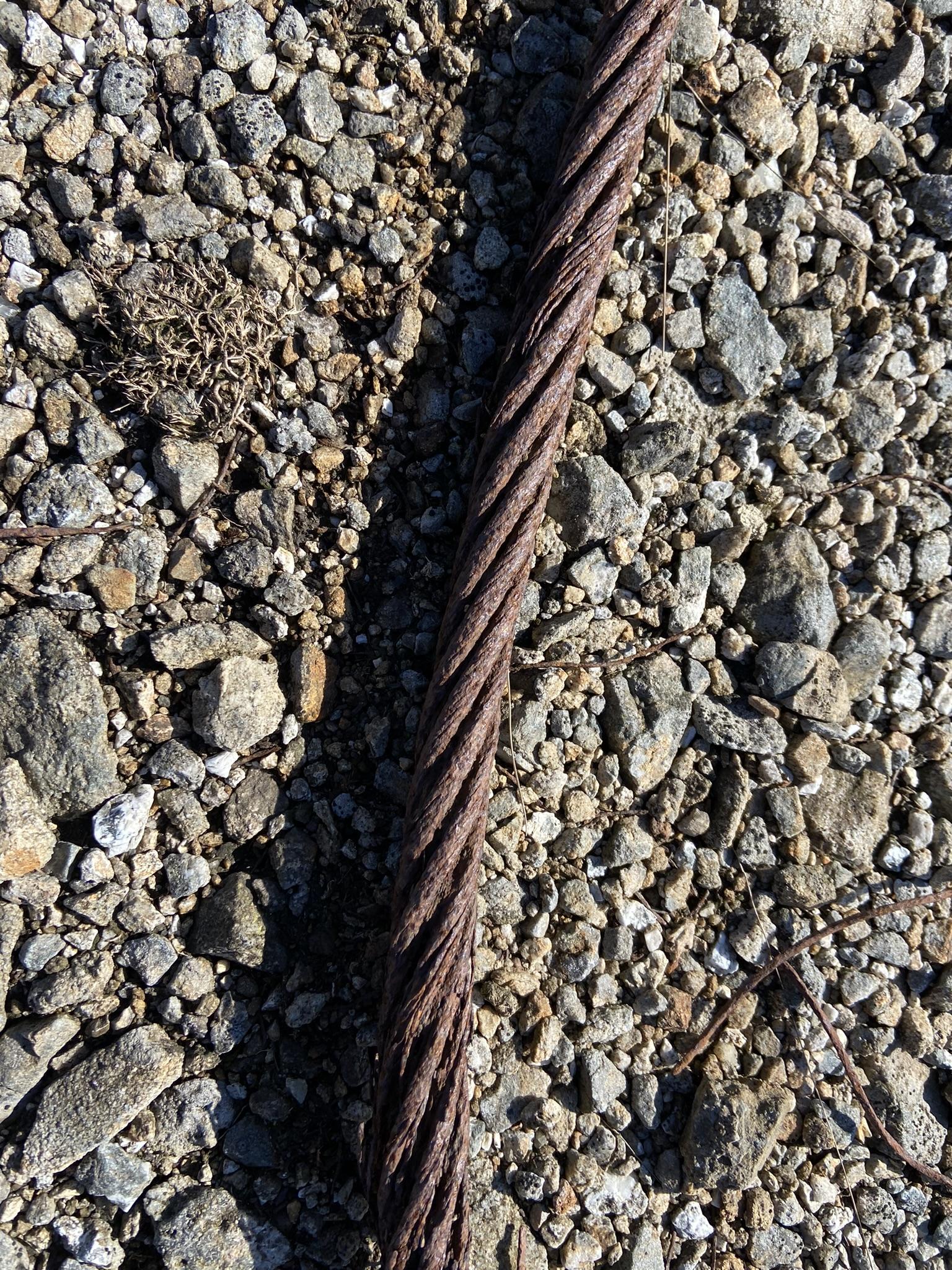 Walk: Bare House to Bycliffe Road - Upper Wharfedale Field Society