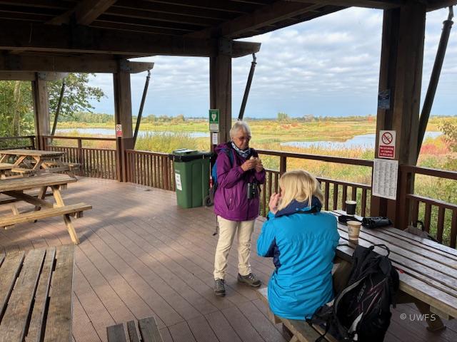 Ornithology Group Visit to North Cave Wetlands. 16 October 2025 - Upper ...